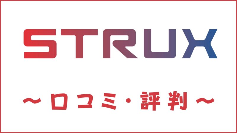学習塾STRUXの口コミ・評判は？料金・合格実績・コーチングを評価